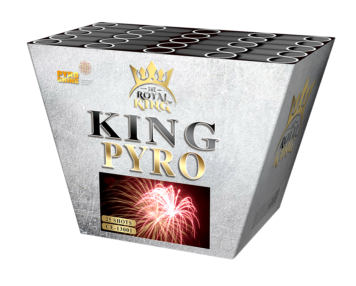 CE-13001 Fan shape 25 shots Cake KING PYRO F2